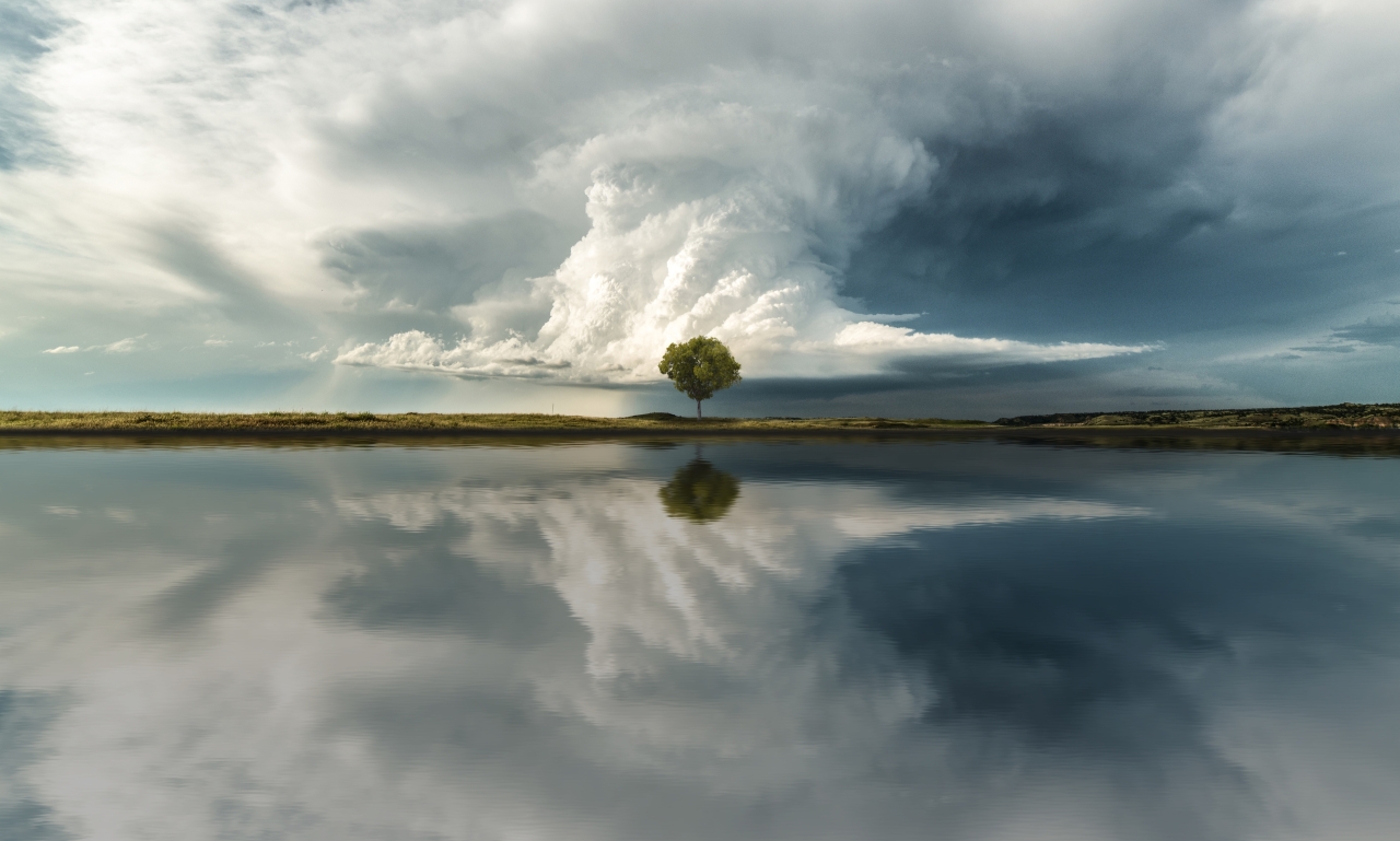 1280x769 5K Tree Reflection Lake 1280x769 Resolution Wallpaper, HD ...