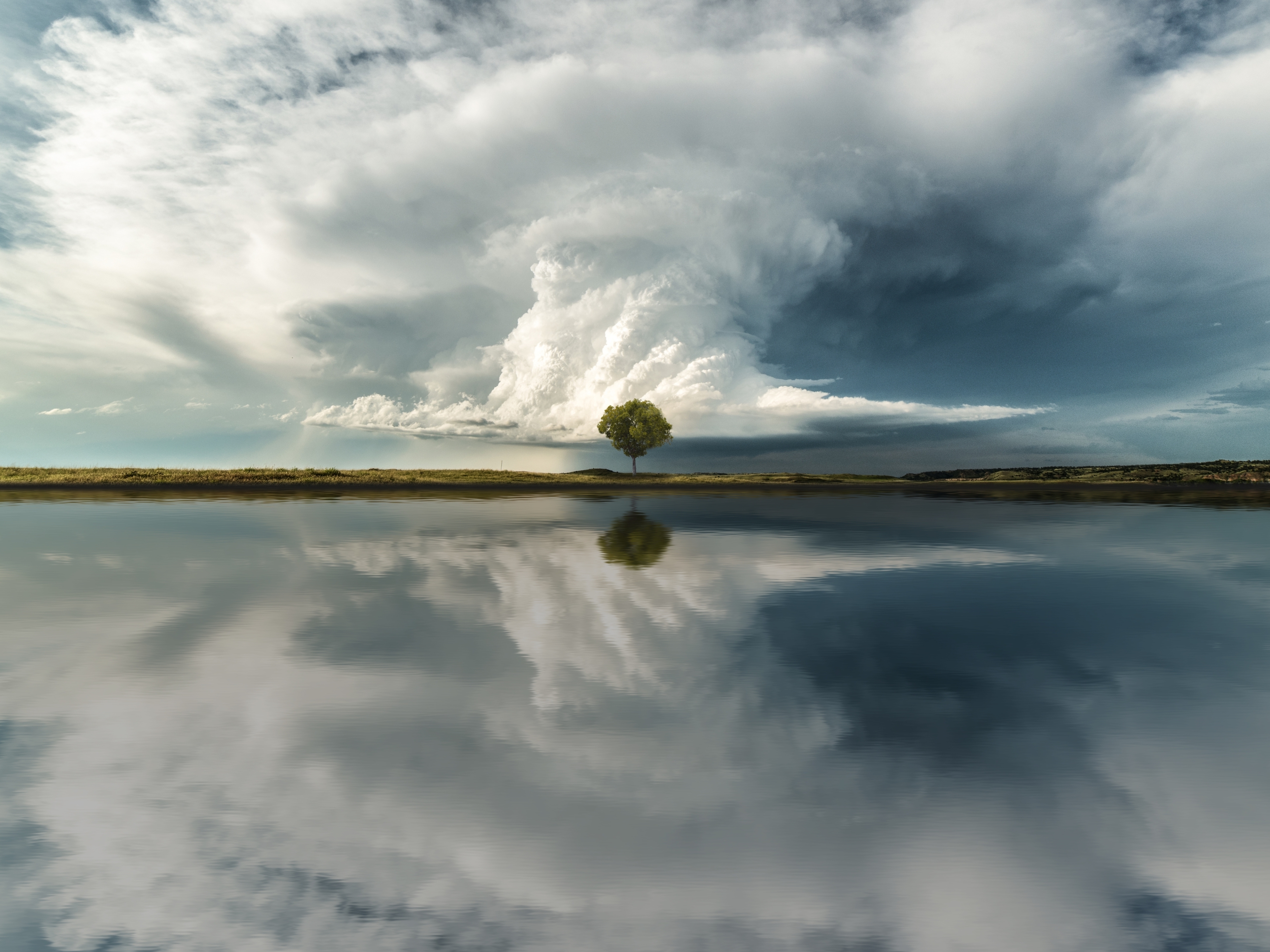 4000x3000 Resolution 5K Tree Reflection Lake 4000x3000 Resolution ...