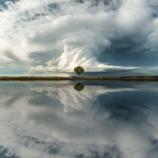 512x512 Resolution 5K Tree Reflection Lake 512x512 Resolution Wallpaper ...