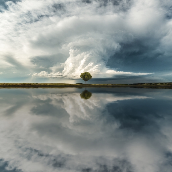 600x600 5K Tree Reflection Lake 600x600 Resolution Wallpaper, HD Nature ...