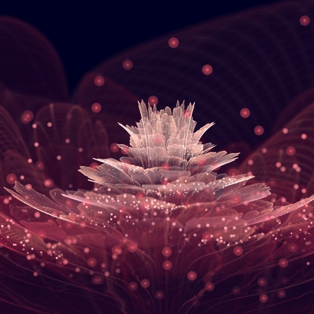 1000x1000 Resolution abstract, flower, petals 1000x1000 Resolution ...