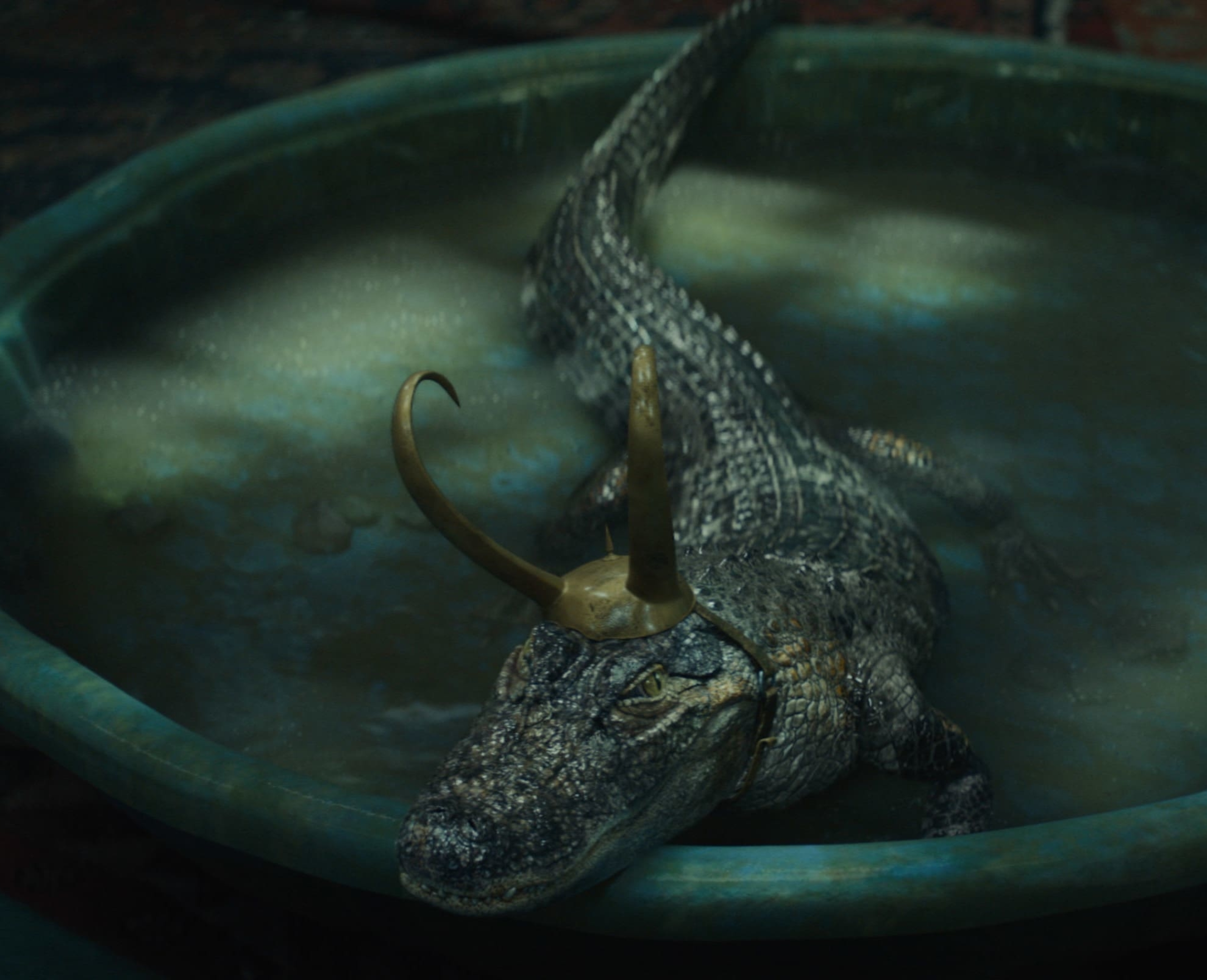 4050x3289 Resolution Alligator Loki 4050x3289 Resolution Wallpaper ...