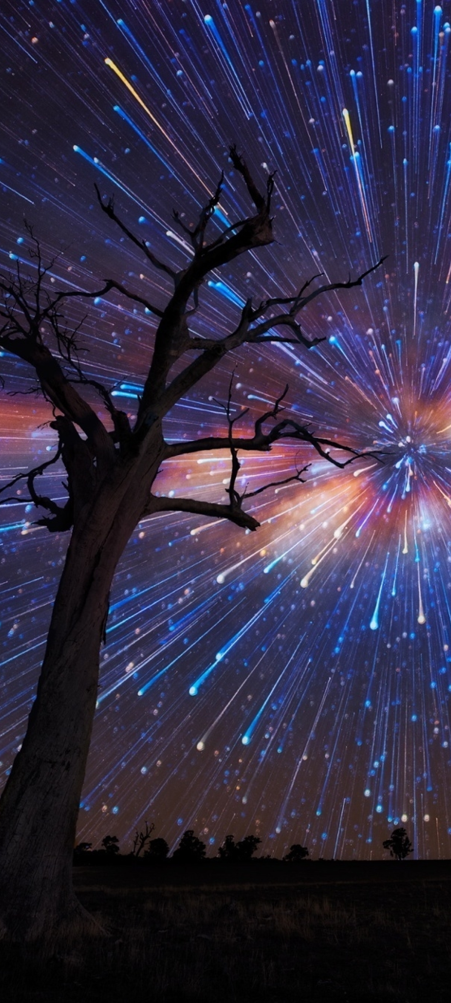 1840x4089 Resolution Amazing Star Trail HD 1840x4089 Resolution ...