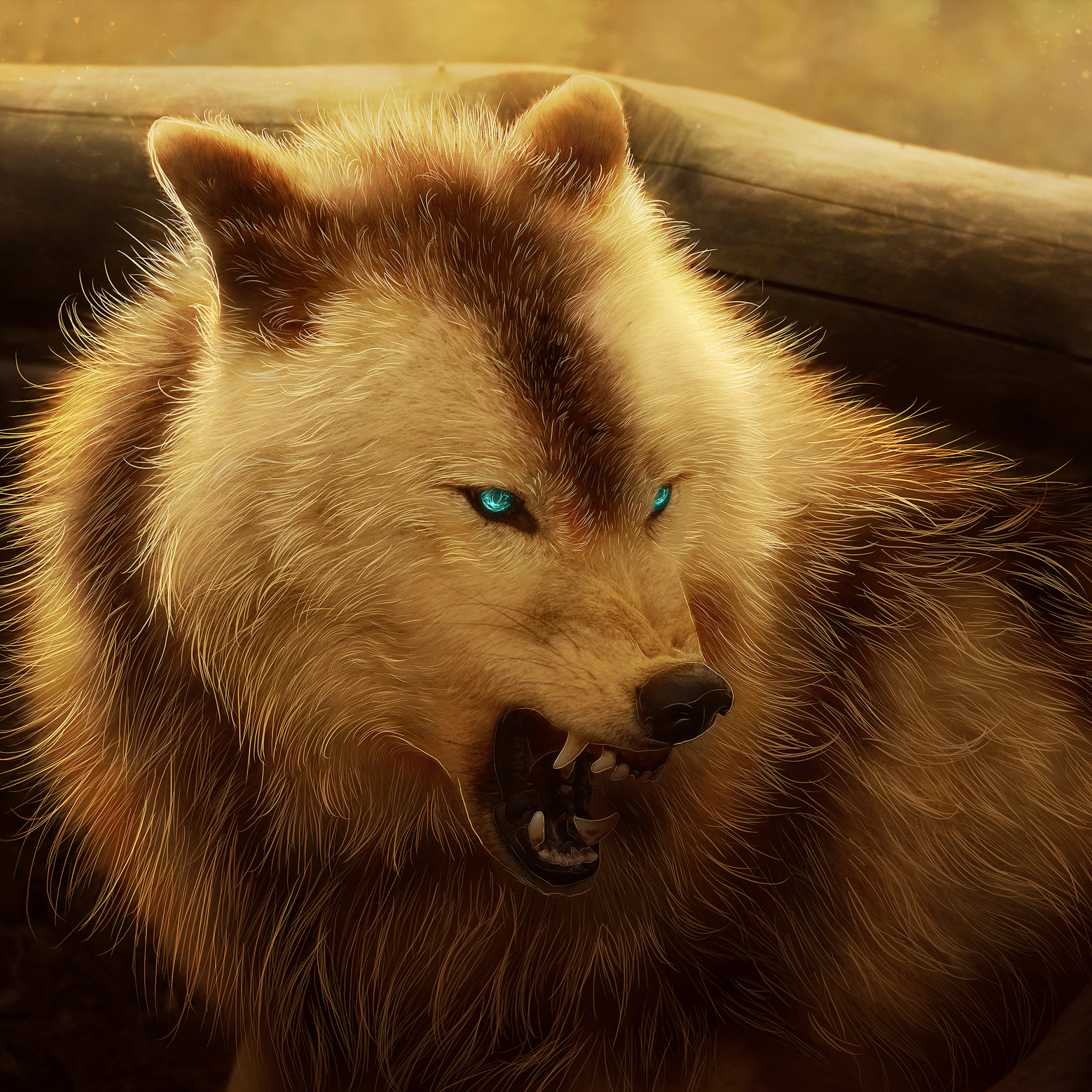 2480x2480 Resolution Angry Wolf 2480x2480 Resolution Wallpaper ...