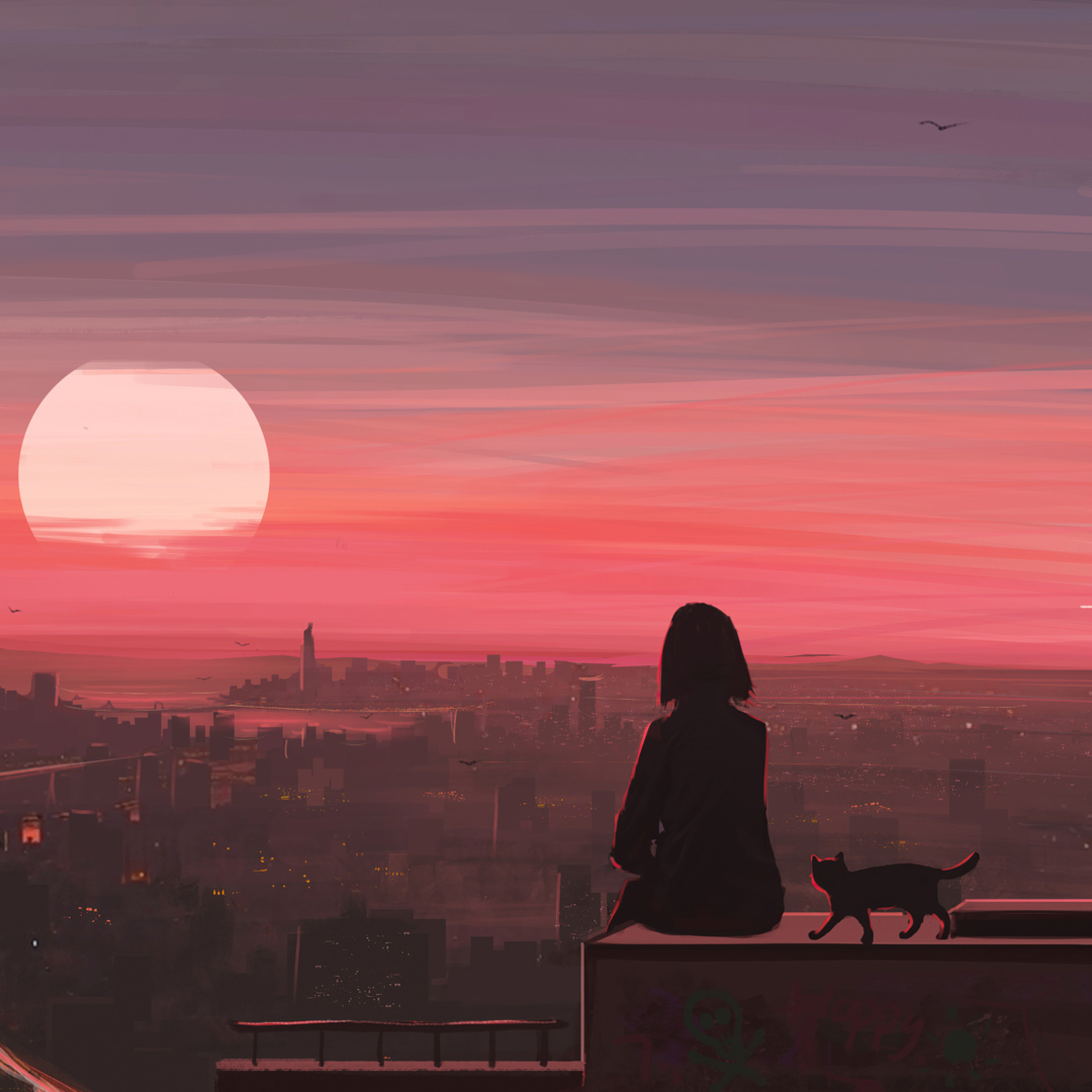 4000x4000 Resolution Anime Sunset HD Alone with Cat 4000x4000 ...