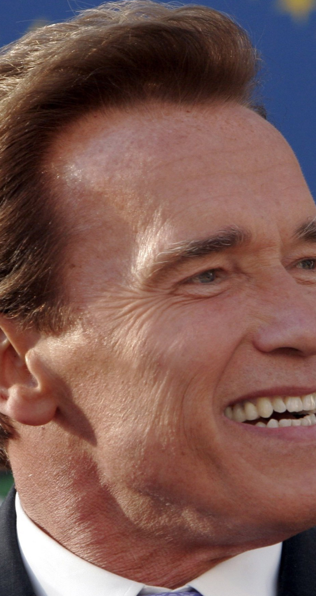 1082x2042 Resolution arnold schwarzenegger, actor, face 1082x2042 ...