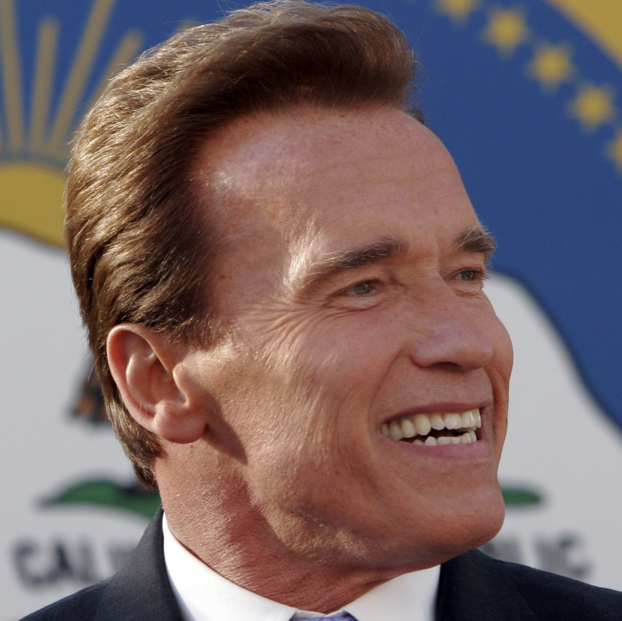 2025x2022 Resolution arnold schwarzenegger, actor, face 2025x2022 ...