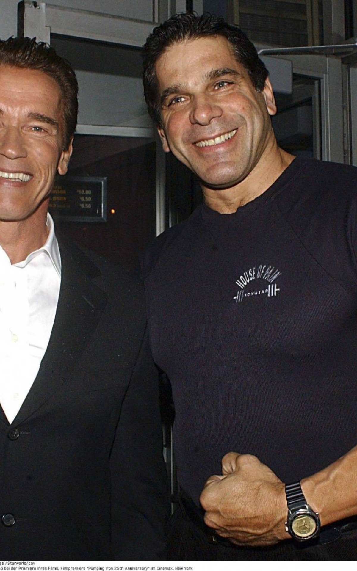 1200x1920 Resolution arnold schwarzenegger, lou ferrigno, actors ...