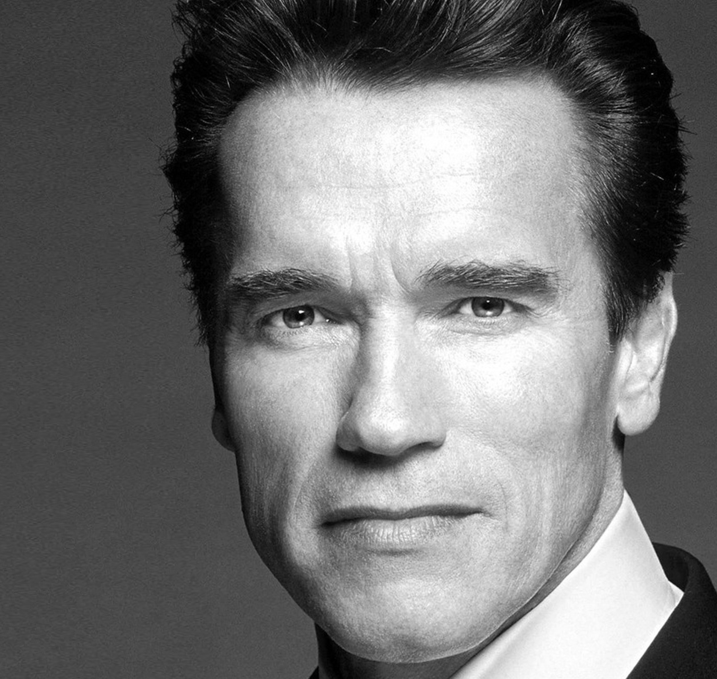 2356x2234 Arnold Schwarzenegger Portrait wallpapers 2356x2234 ...