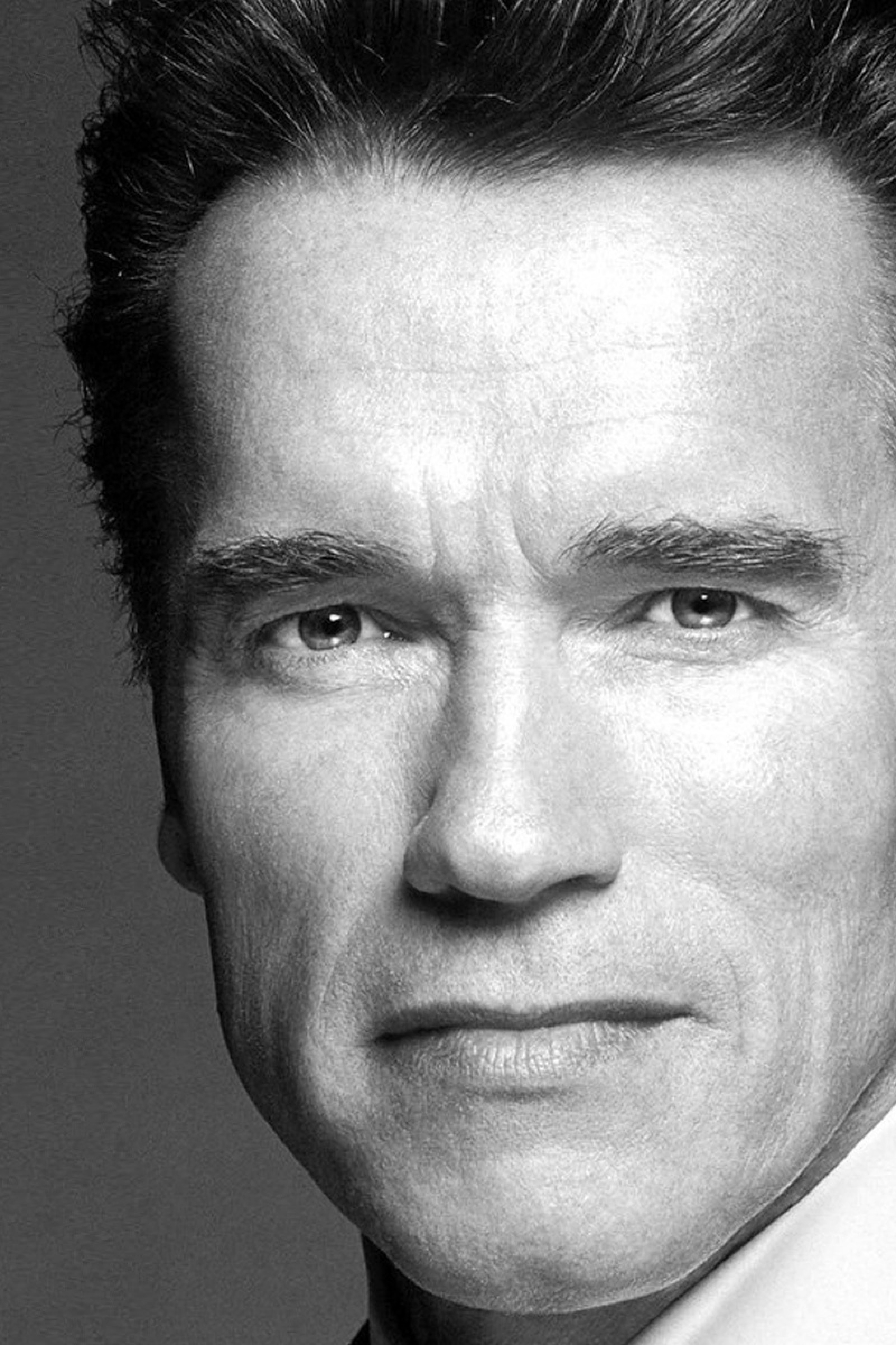 4000x6000 Resolution Arnold Schwarzenegger Portrait wallpapers ...