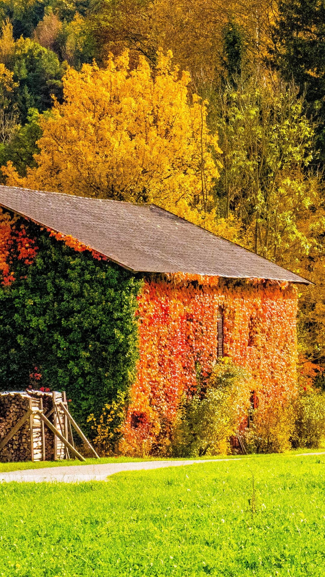 1082x1920 Resolution autumn, building, grass 1082x1920 Resolution ...