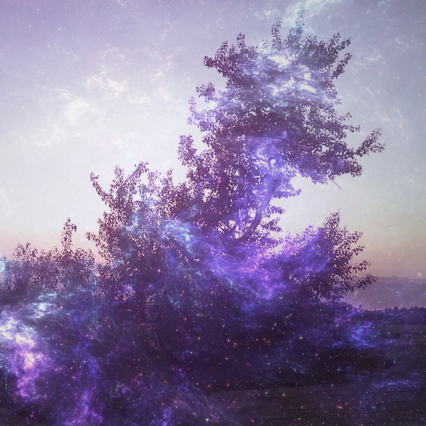 1440x1440 Resolution background, light, spot 1440x1440 Resolution ...
