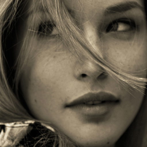 512x512 Bar Refaeli Black And White HD Pics 512x512 Resolution ...