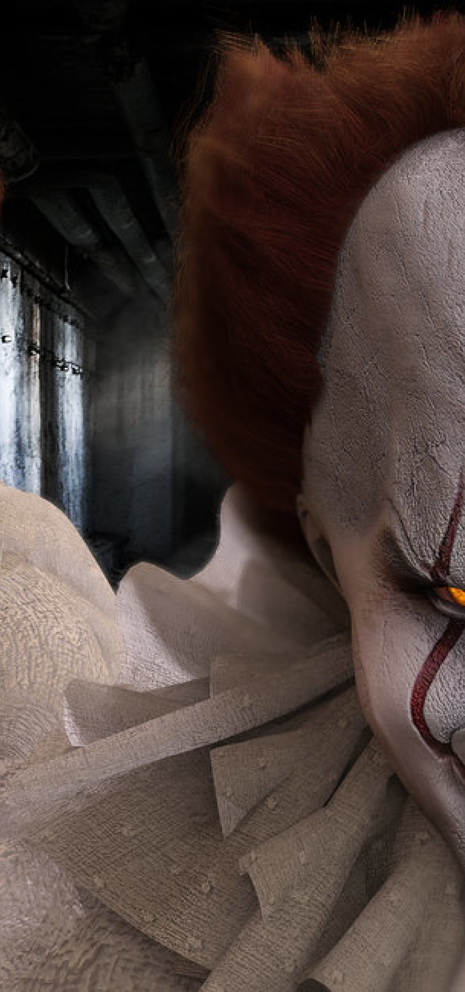 1500x3200 Resolution Bill Skarsgard as Pennywise in Movie It 1500x3200 ...