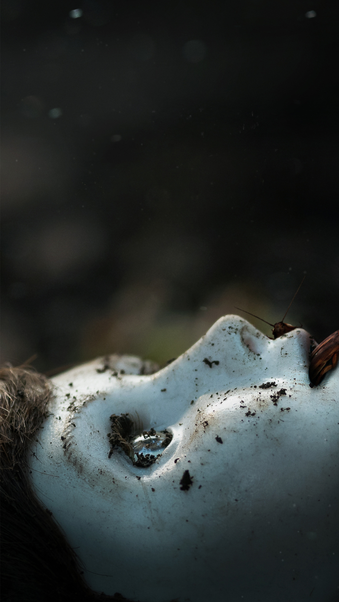 1081x1920 Resolution Brahms The Boy 1081x1920 Resolution Wallpaper ...