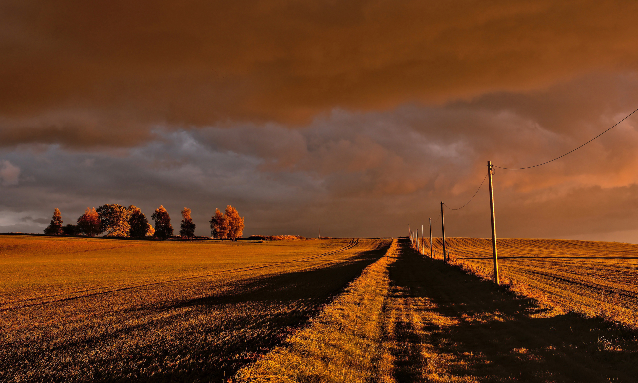 1280x769 Resolution Brown Field Night 1280x769 Resolution Wallpaper ...