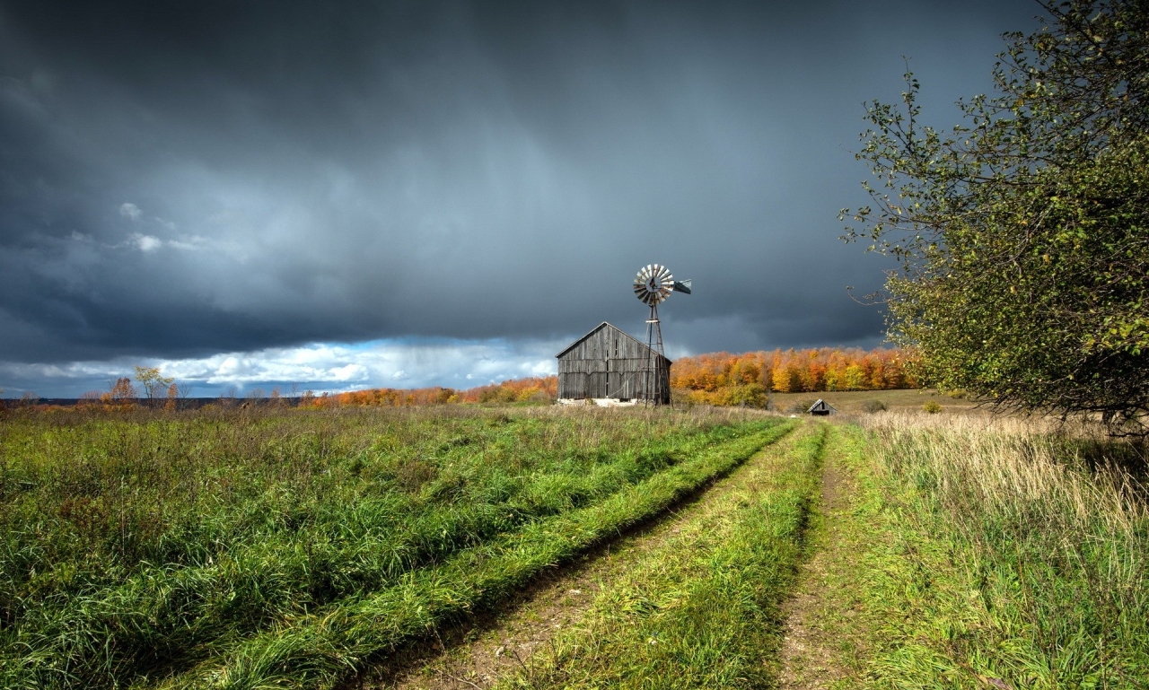 1280x769 Resolution building, grass, nature 1280x769 Resolution ...