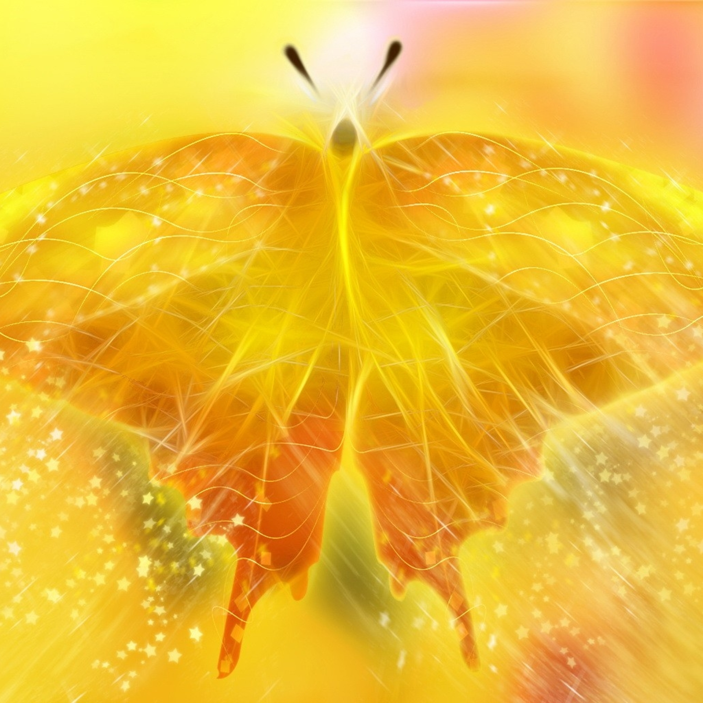 2932x2932 Resolution butterfly, shape, line Ipad Pro Retina Display ...