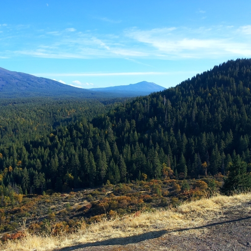 512x512 Resolution california, mountains, trees 512x512 Resolution ...