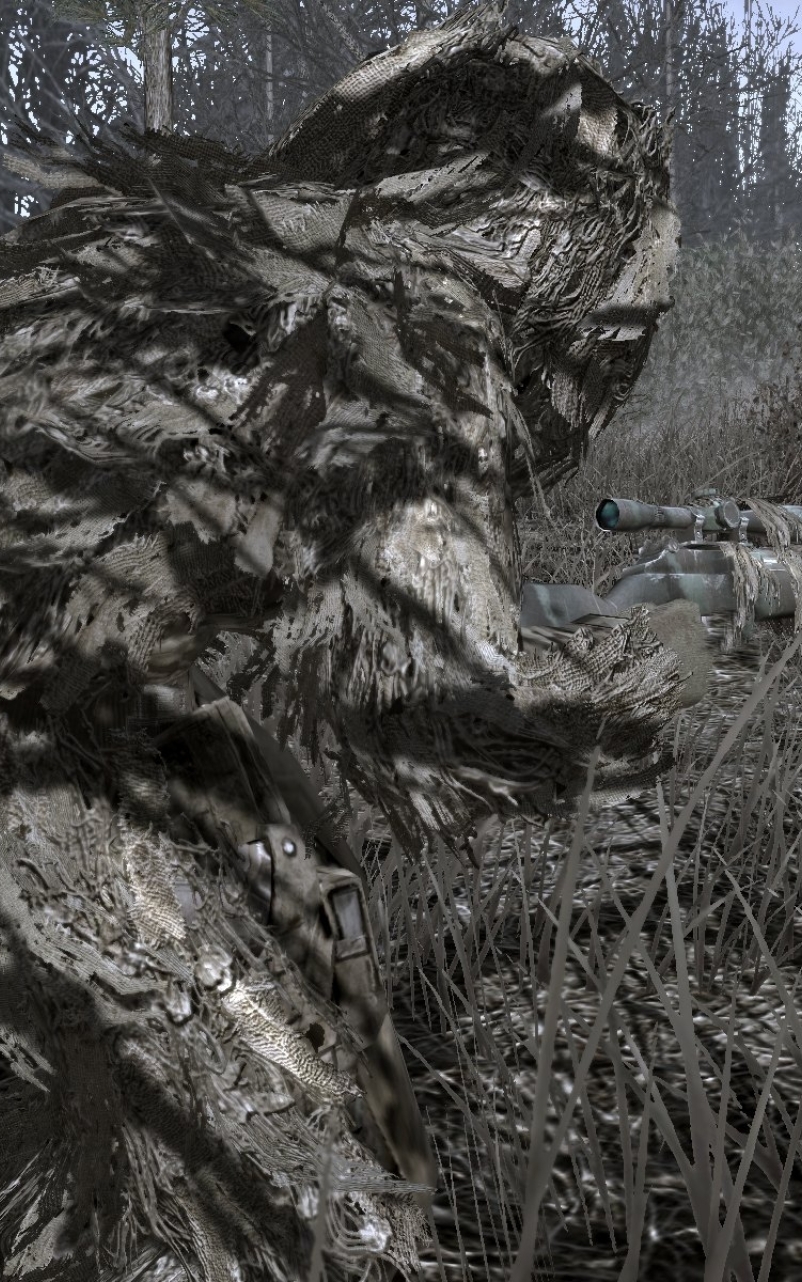 802x1282 Resolution call of duty 4 modern warfare, sniper, grass ...