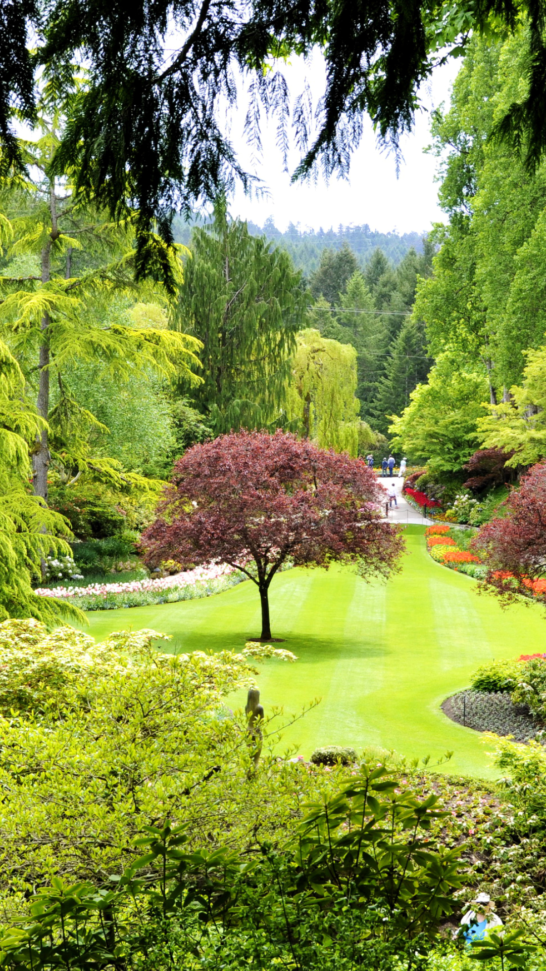 1081x1920 Resolution canada, butchart gardens, trees 1081x1920 ...