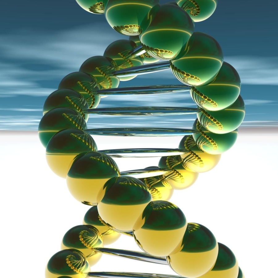 900x900 cell, connections, balls 900x900 Resolution Wallpaper, HD 3D 4K ...