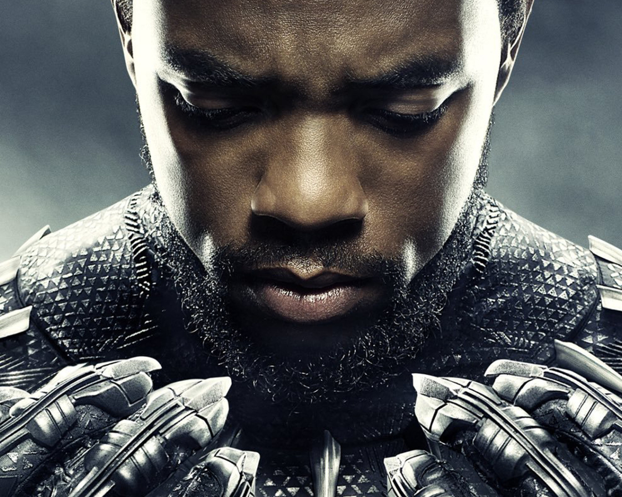 Chadwick Boseman In Black Panther, Full HD Wallpaper