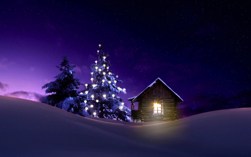800x500 Resolution Christmas Lighted Tree Outside Winter Cabin 800x500 ...