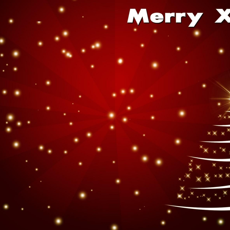 900x900 Resolution christmas tree, stars, backgrounds 900x900 ...