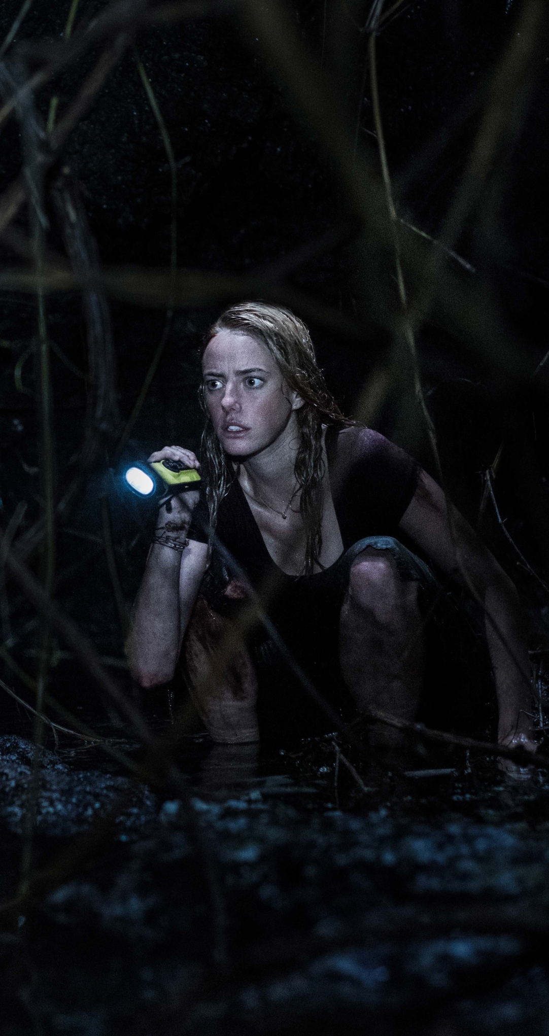 1082x2042 Resolution Crawl Movie Kaya Scodelario 1082x2042 Resolution ...