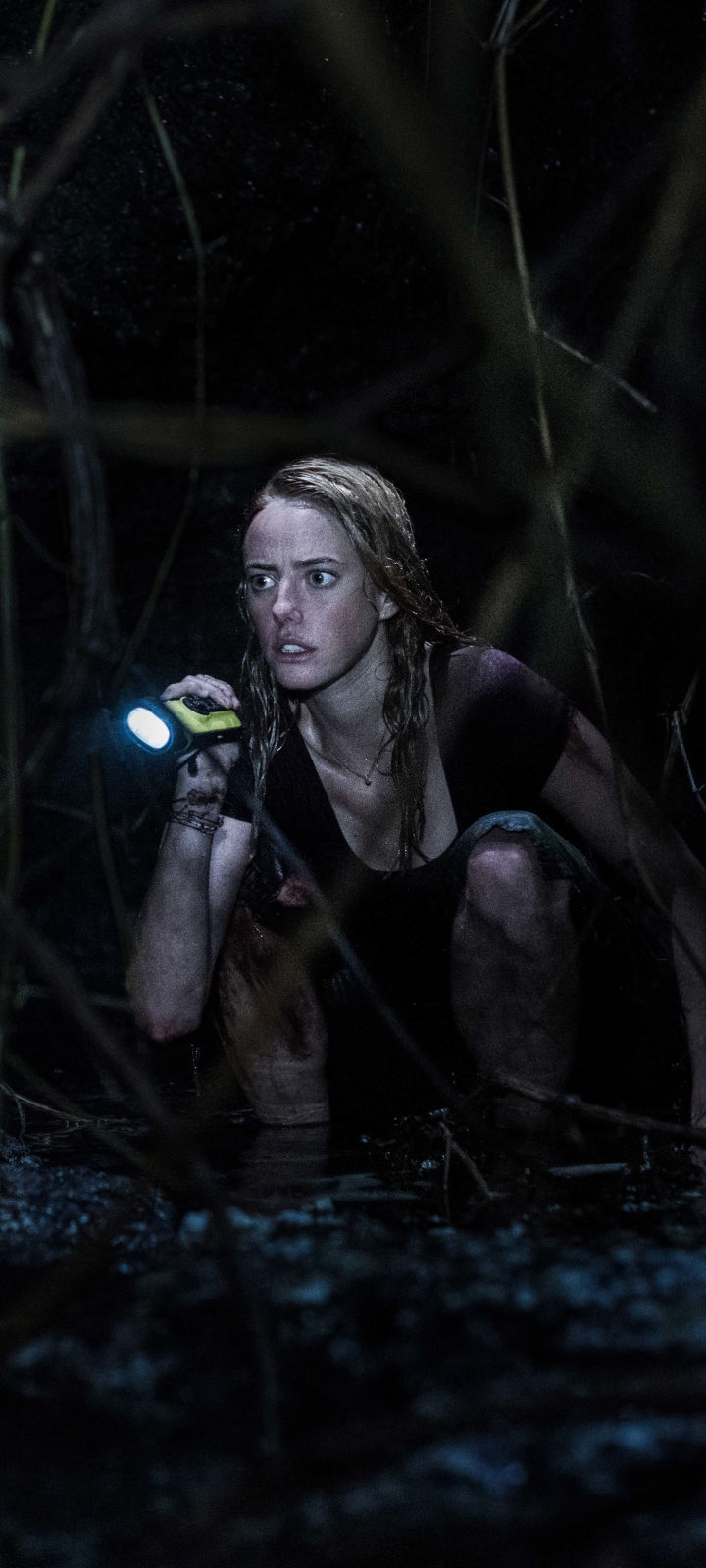 720x1600 Resolution Crawl Movie Kaya Scodelario 720x1600 Resolution ...