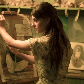 320x320 Resolution Daisy Jones Where The Crawdads Sing Movie 320x320 ...
