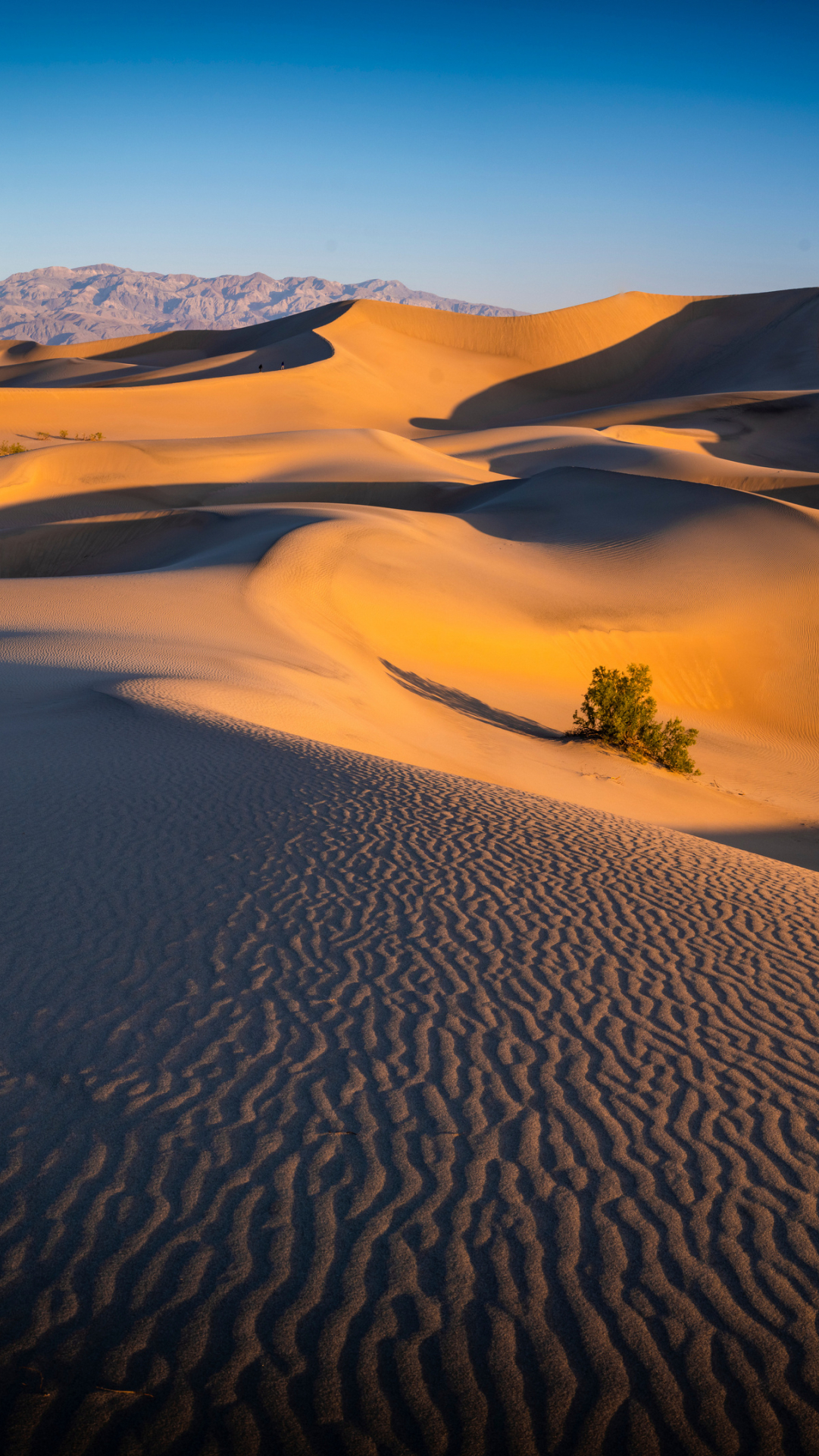 1081x1920 Resolution Death Valley Desert HD California 1081x1920 ...