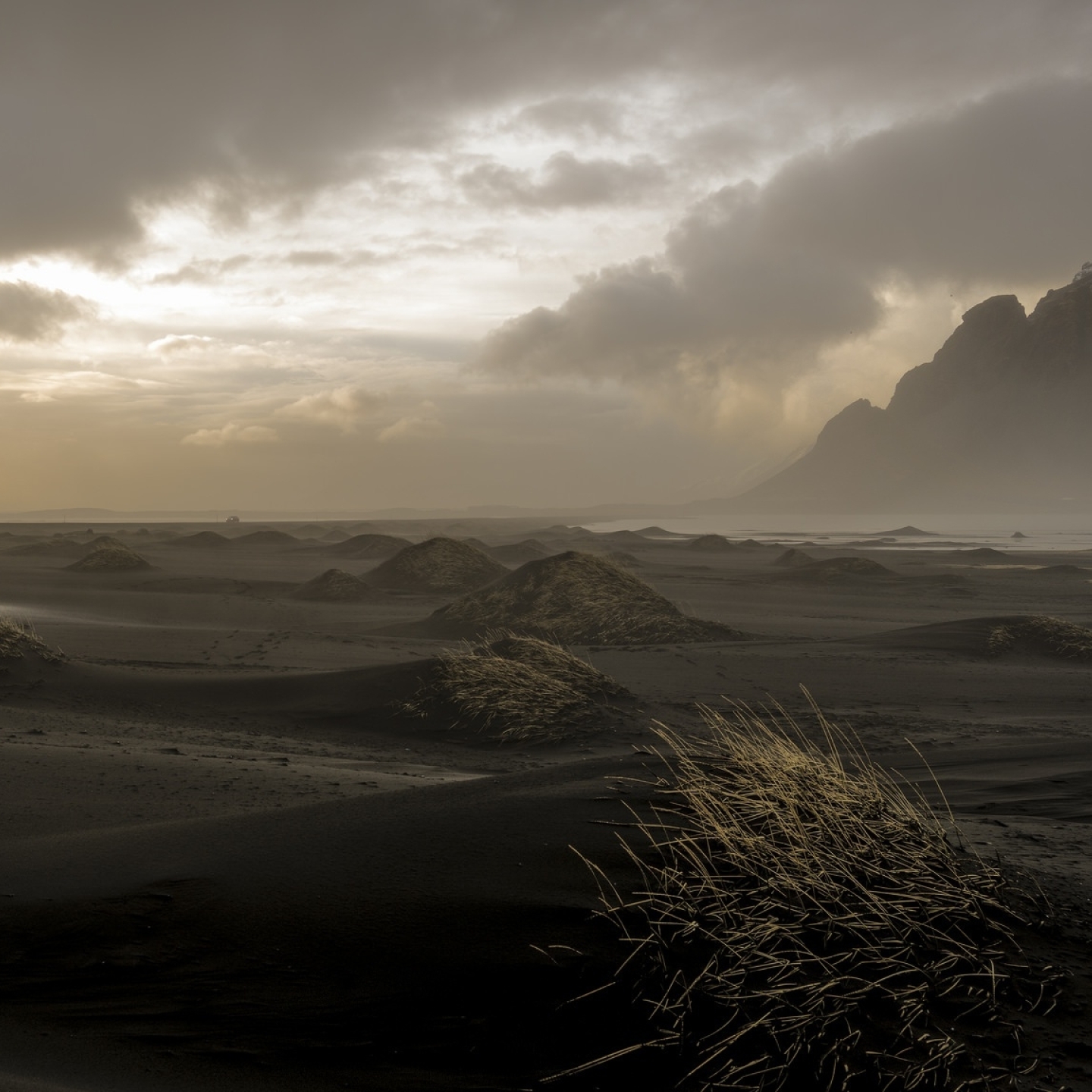 1440x1440 Desert HD Night View 2023 1440x1440 Resolution Wallpaper, HD ...