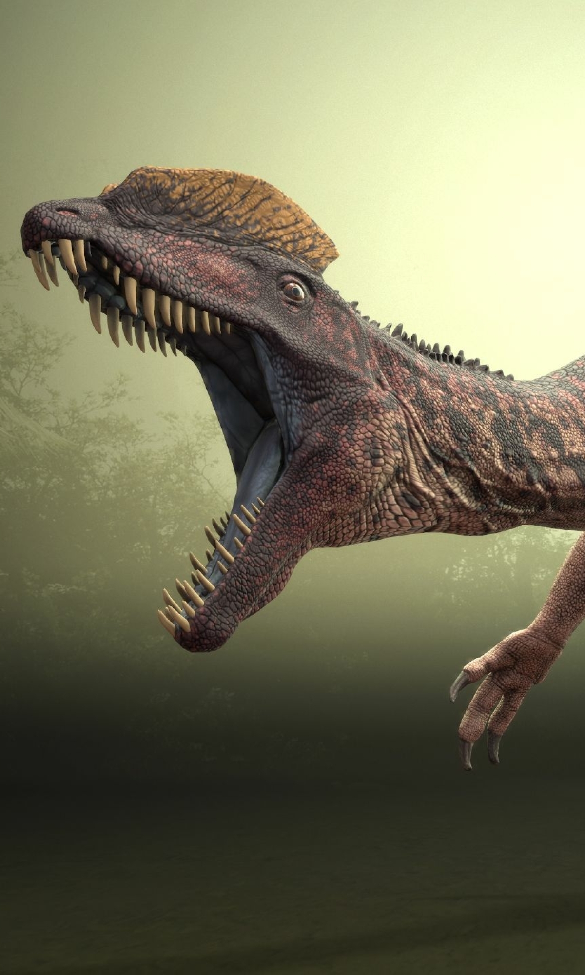 1200x2000 Resolution Dilophosaurus HD The Isle Gaming 1200x2000 ...