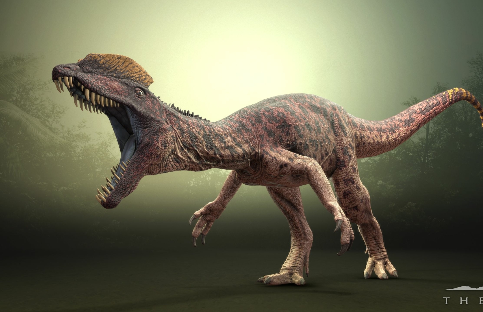 1676x1085 Resolution Dilophosaurus HD The Isle Gaming 1676x1085 ...