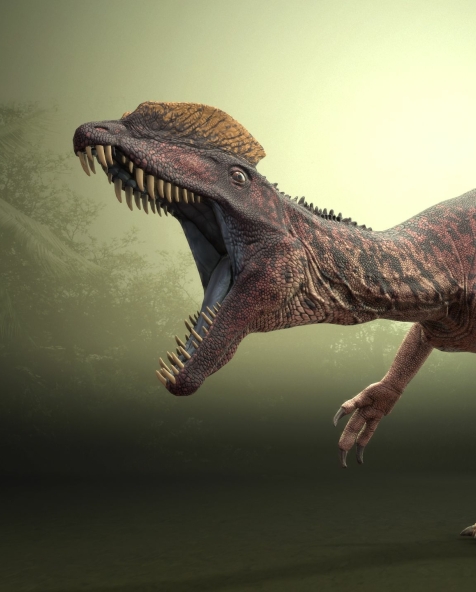 476x592 Resolution Dilophosaurus HD The Isle Gaming 476x592 Resolution ...