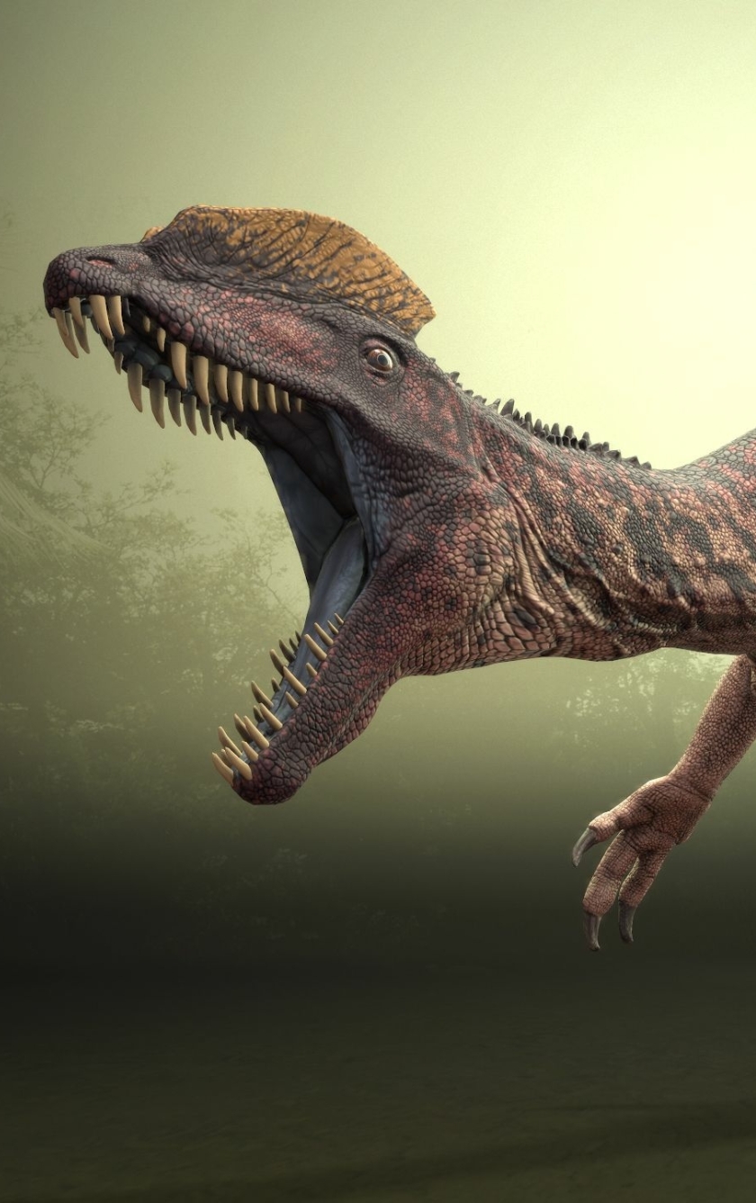 840x1336 Resolution Dilophosaurus HD The Isle Gaming 840x1336 ...