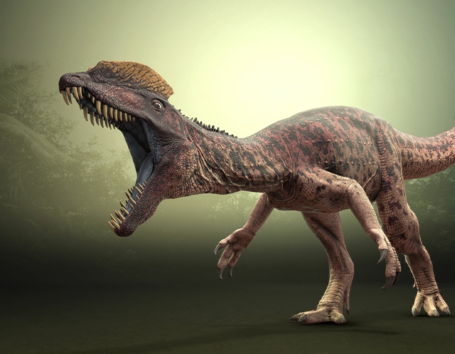 900x700 Resolution Dilophosaurus HD The Isle Gaming 900x700 Resolution ...