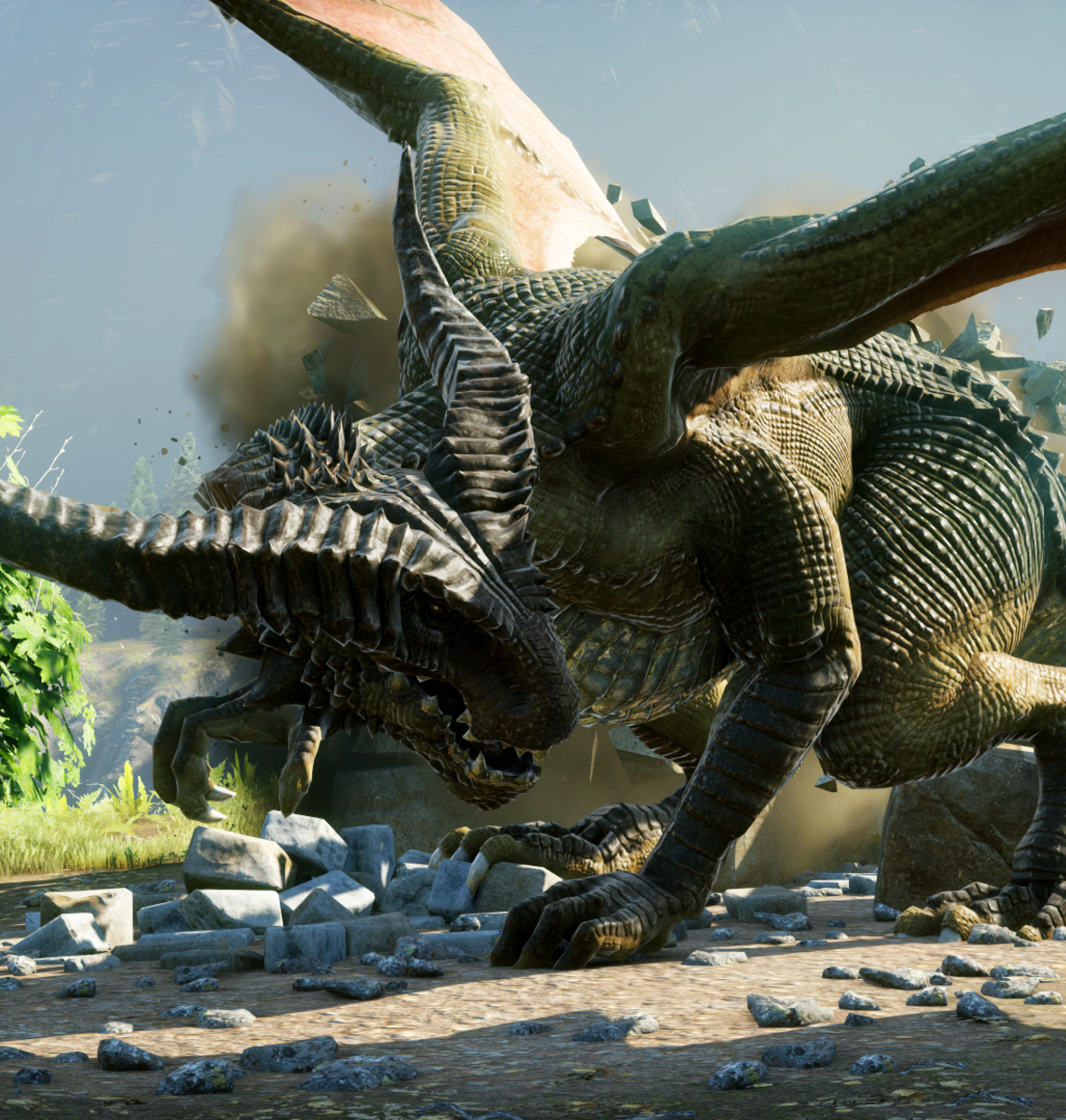 1980x2080 Dragon Age Inquisition Dragon 1980x2080 Resolution Wallpaper ...