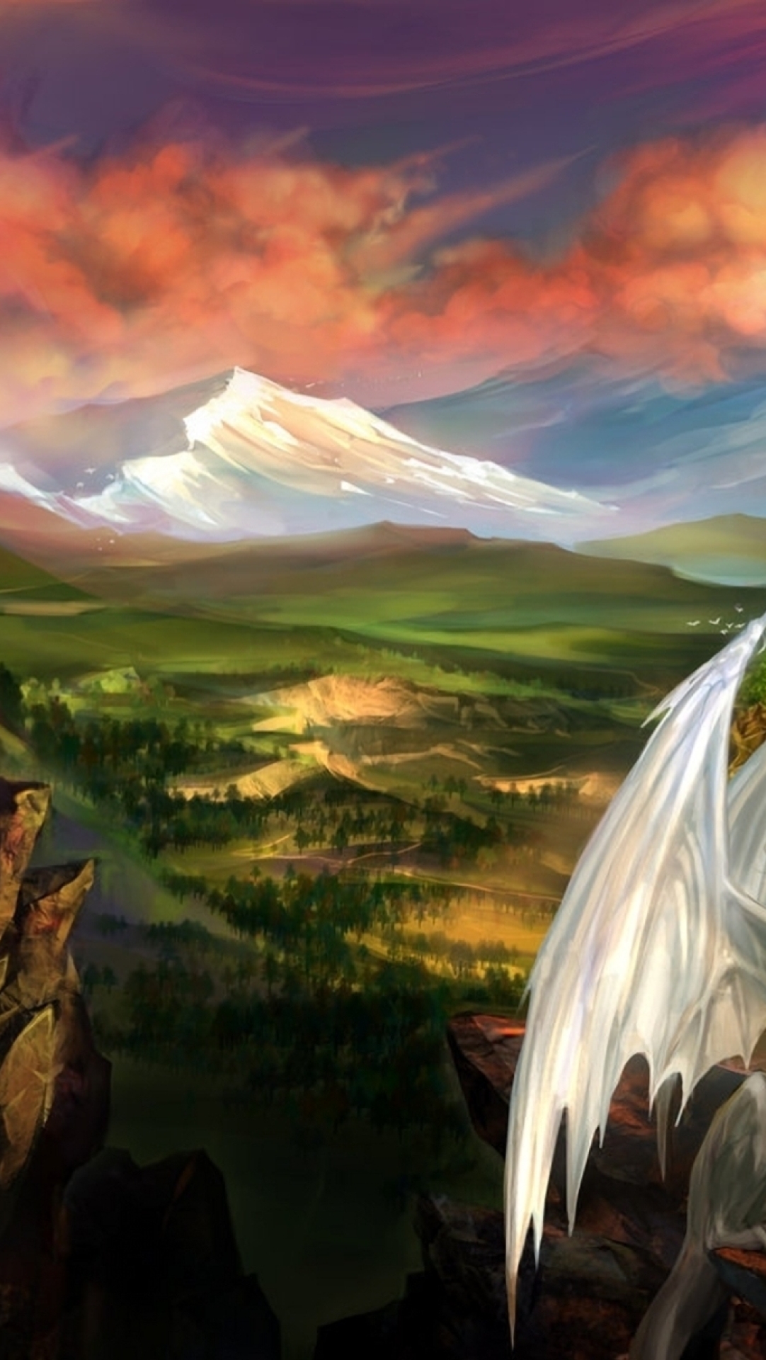 1082x1920 Resolution dragon, castle, princess 1082x1920 Resolution ...