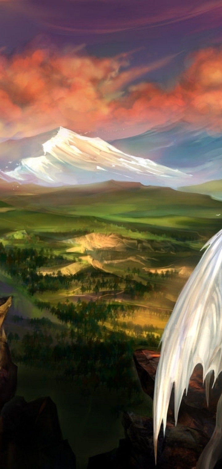 720x1520 Resolution dragon, castle, princess 720x1520 Resolution ...