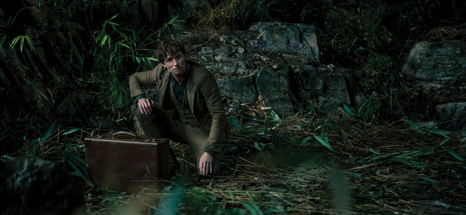 1560x720 Resolution Eddie Redmayne as Newt Scamander Fantastic Beasts 2 ...