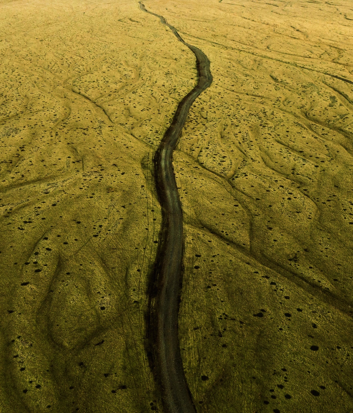 1366x1600 Resolution Fallow Land 1366x1600 Resolution Wallpaper ...