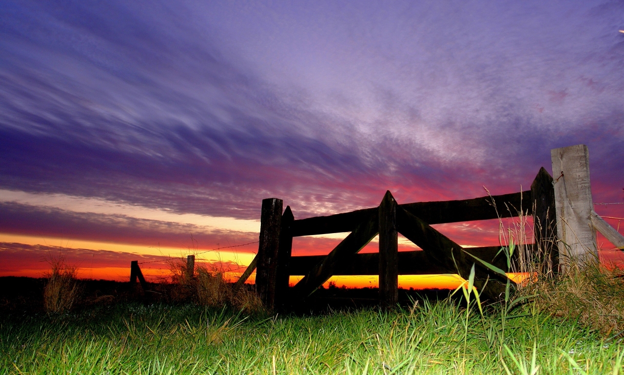1280x769 fence, grass, evening 1280x769 Resolution Wallpaper, HD Nature ...