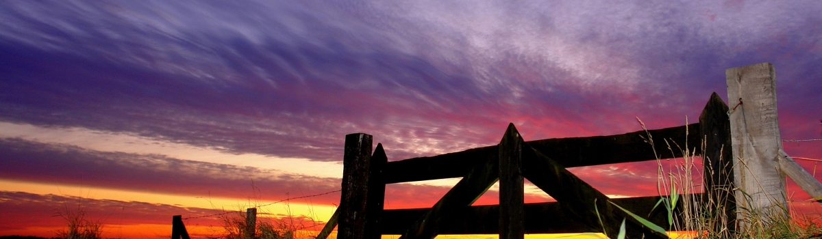 1200x350 Resolution fence, grass, evening 1200x350 Resolution Wallpaper ...