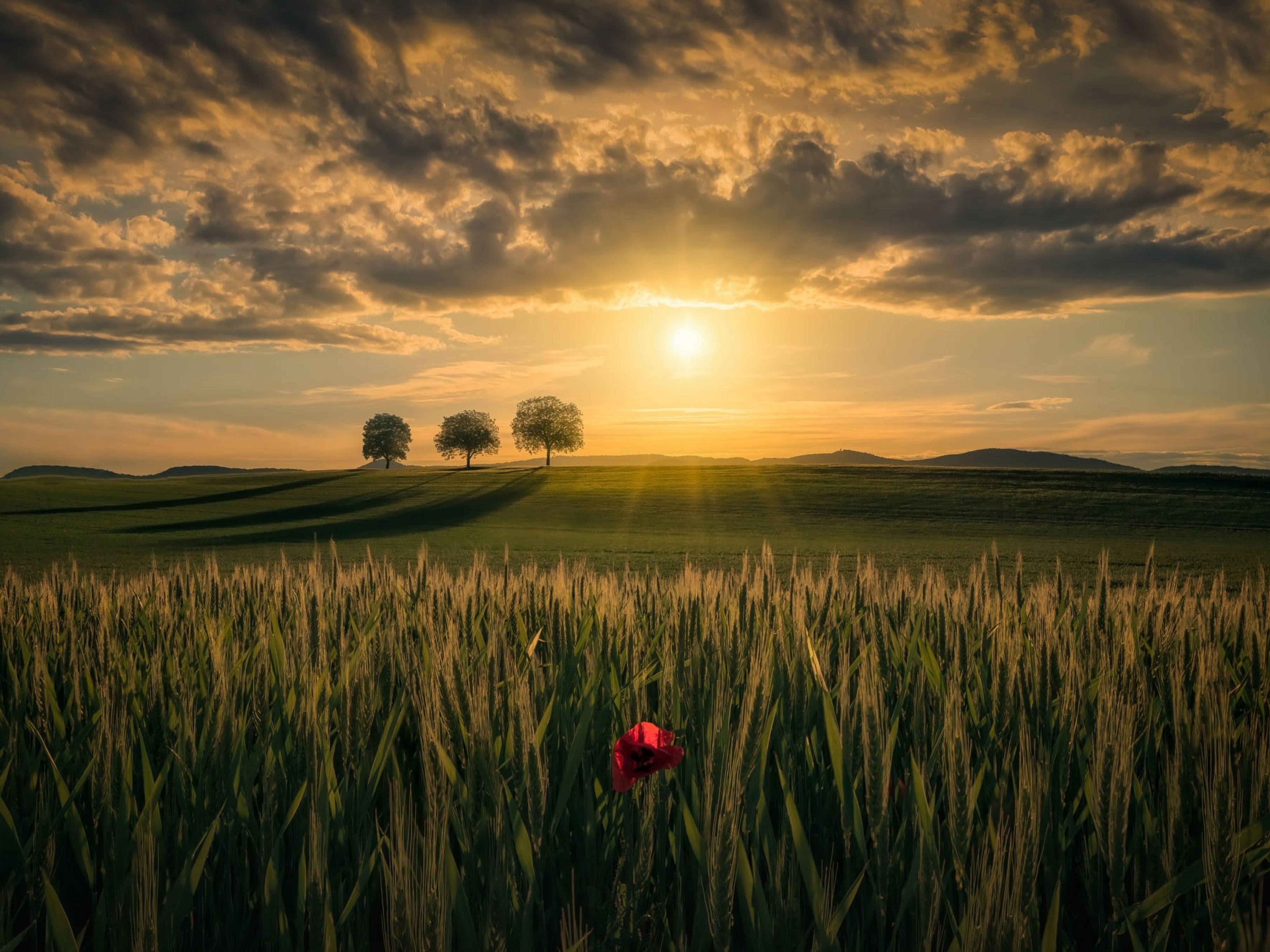 4000x3000 Resolution Field HD Sunrise 4000x3000 Resolution Wallpaper ...
