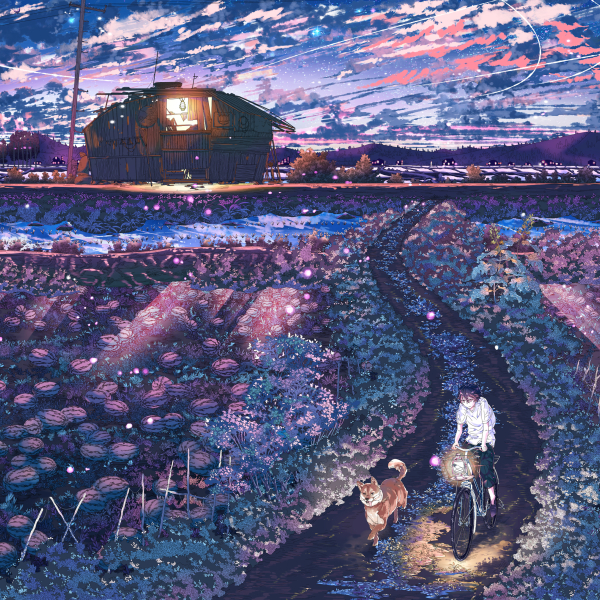 600x600 Resolution field, night, anime 600x600 Resolution Wallpaper ...