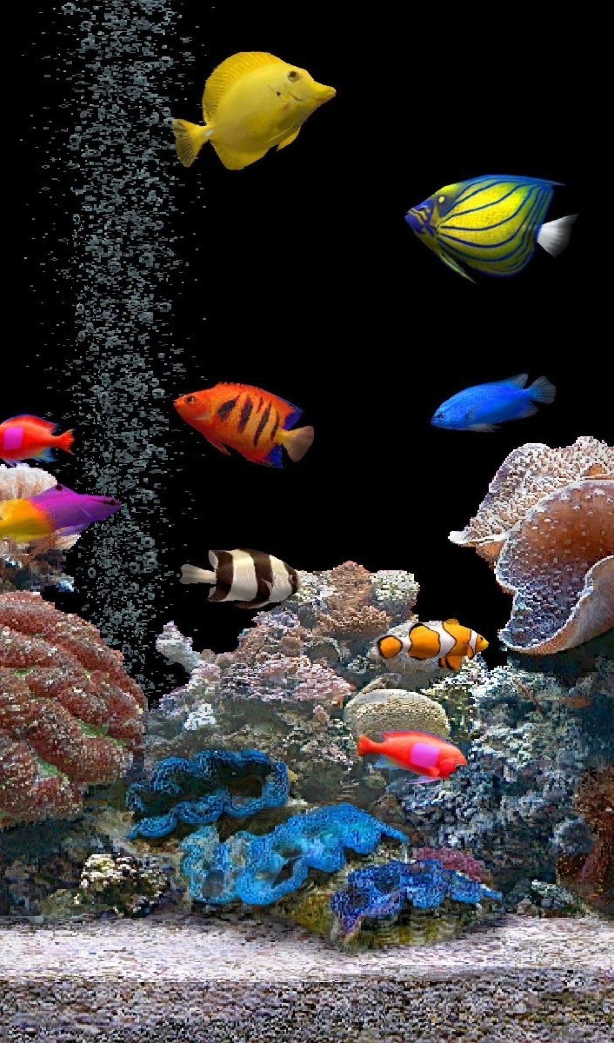 1200x2040 Resolution fish, underwater, colorful 1200x2040 Resolution ...