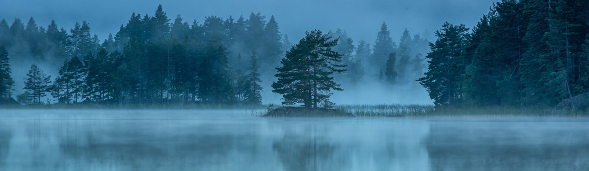 1200x350 Fog Reflection 4K 1200x350 Resolution Wallpaper, HD Nature 4K ...